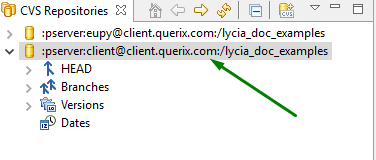Adding a CVS repository