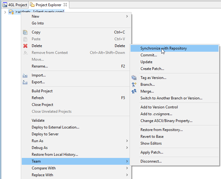 Synchronizing with a CVS repository