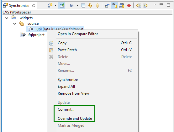 Synchronizing with a CVS repository